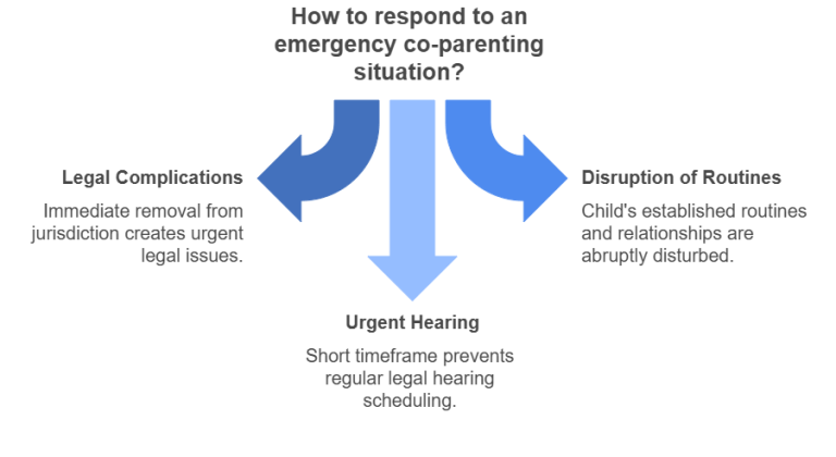 How to Win an Ex Parte Hearing in Family Court